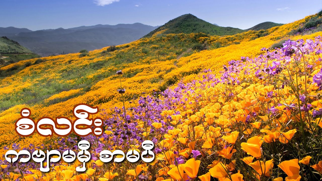 ကဗျာမမှီစာမပီ - စံလင်း ( San Lin ) | Lyrics - YouTube