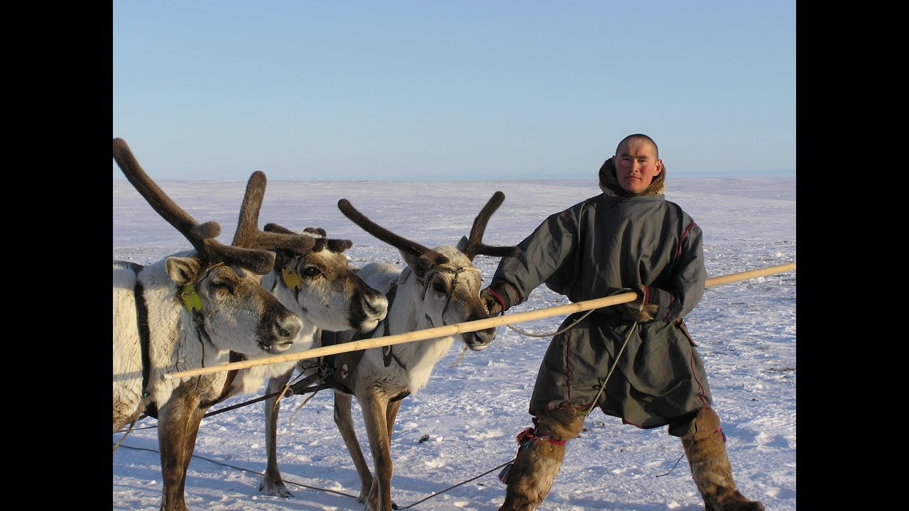 Nenets people of the Tundra - YouTube