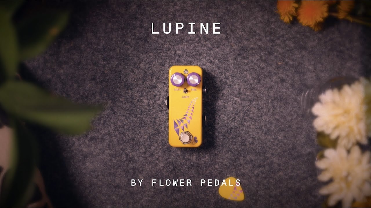 Flower Pedals Lupine Analog Octave Up (demo) - YouTube