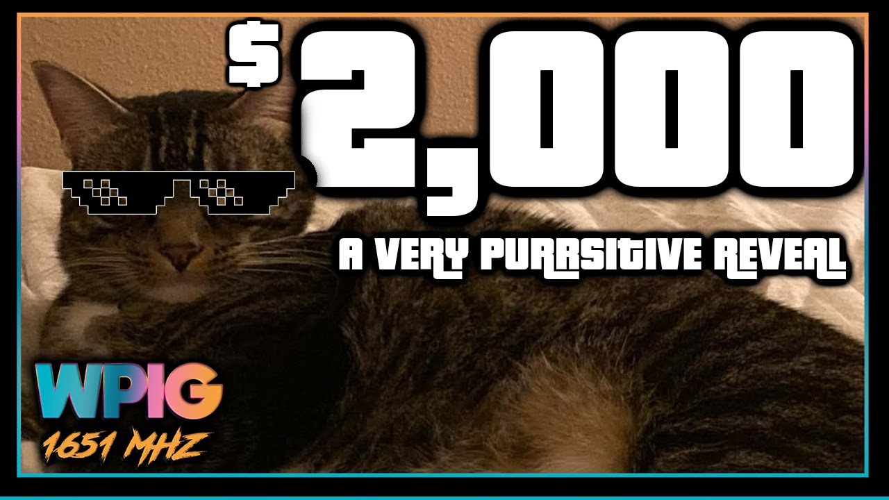 The Full Kahntext - A Very Purrsitive Reveal: The $2000 Cat - YouTube
