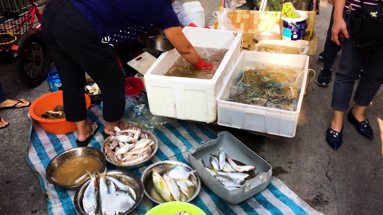 Fresh Fish Market and Fishing Village In China - YouTube