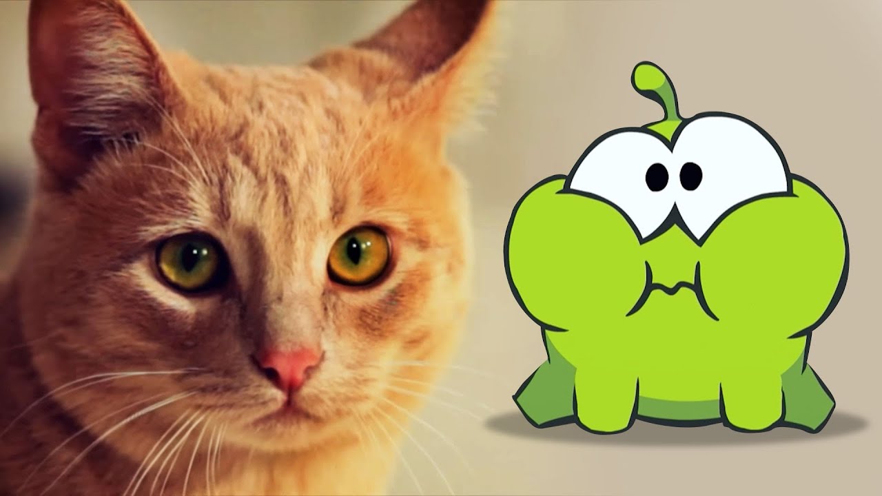 Om Nom Stories | Om Nom And The Cat | Cartoons For Kids - YouTube Music