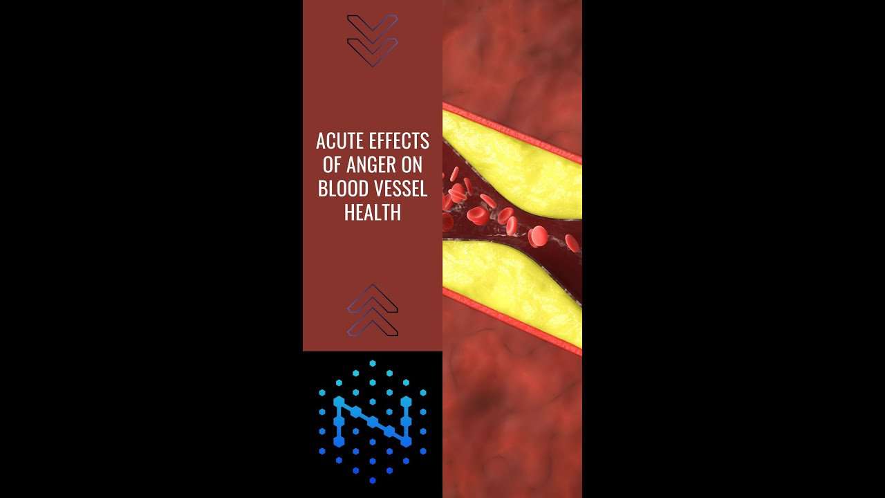 The Acute Effects Of Anger On Blood Vessel Function - YouTube