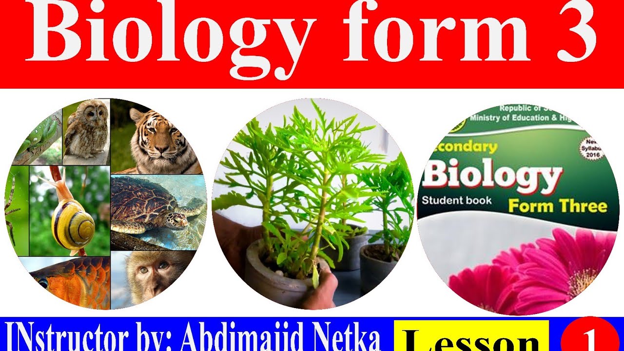 Biology af-somali| form three |lesson one |Flowering plants| Abdimajiid ...