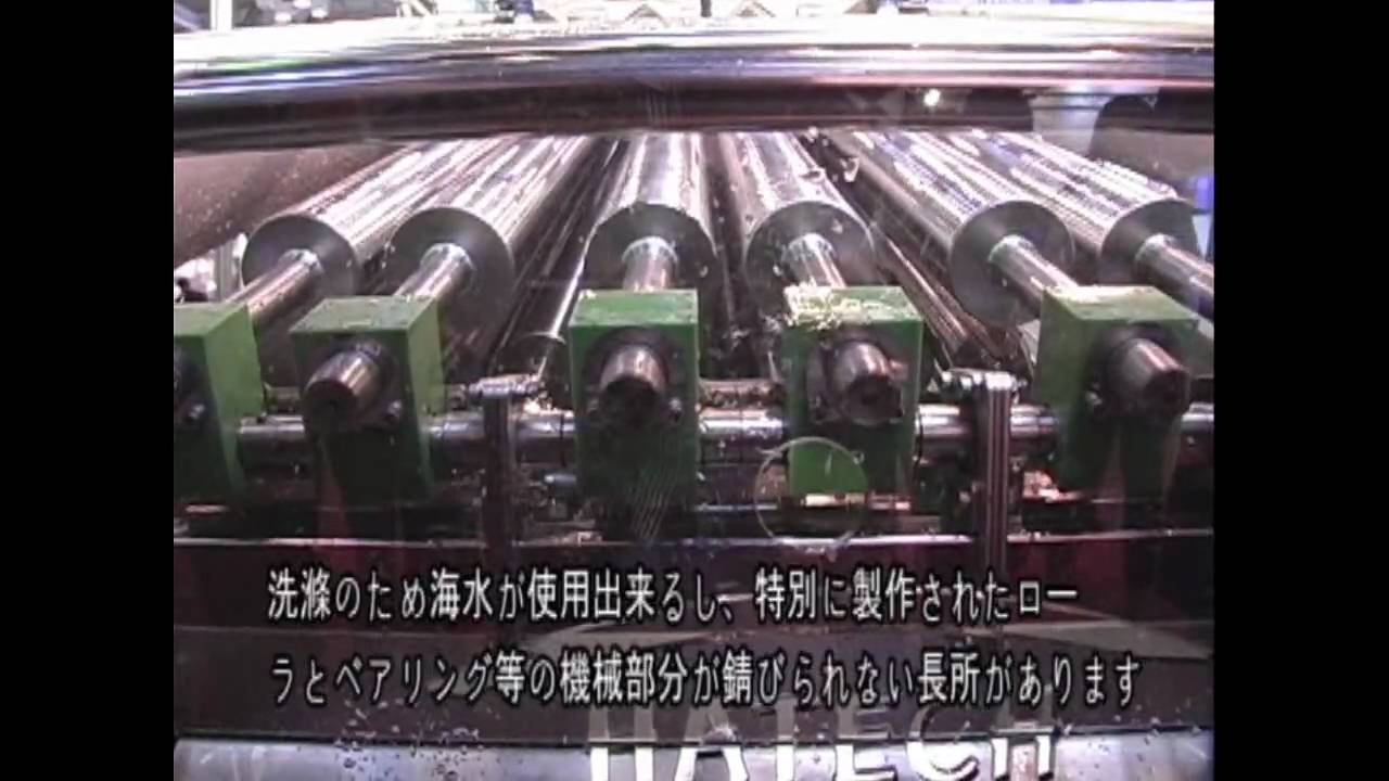 Fish Grader.wmv - YouTube