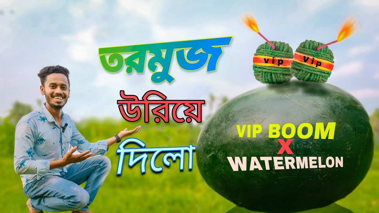 Vip Boom VS Watermelon || তরমুজ উরিয়ে দিলো || World Dangerous ...