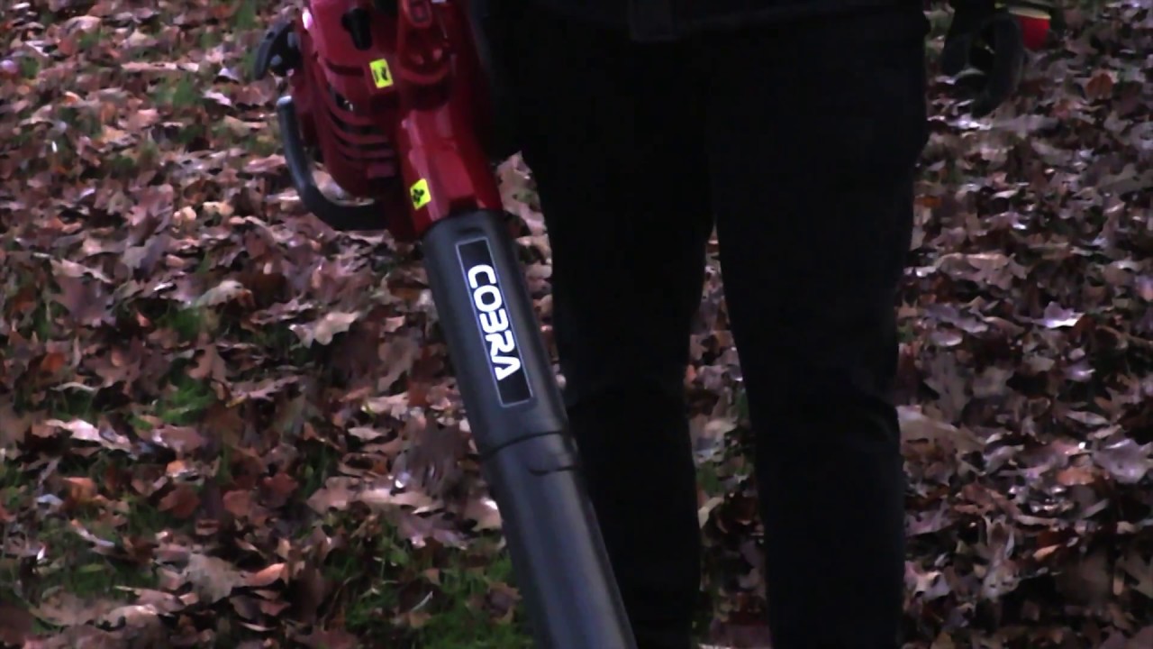 Cobra Blower Vacs make clearing your garden debris a breeze. (Short ...