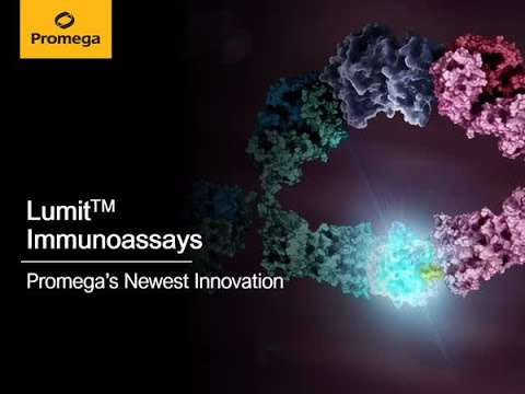 Introducing Lumit™ ImmunoAssays - YouTube