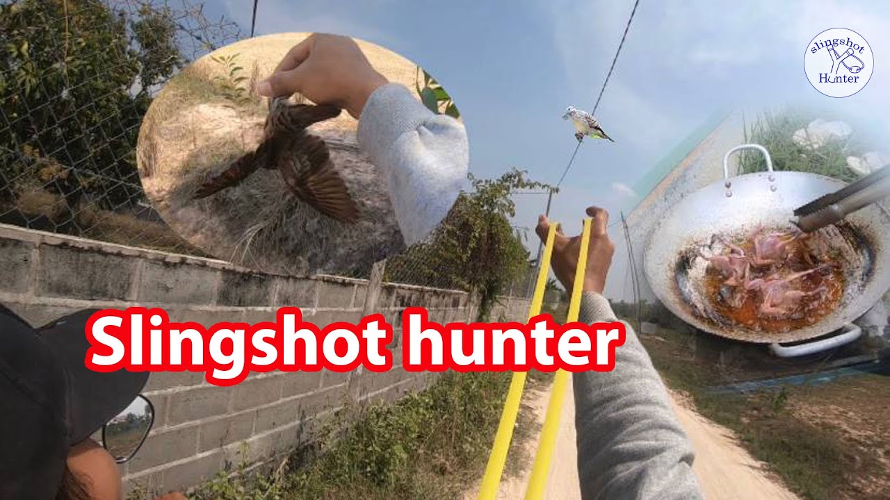 slingshot hunter, hunting birds, Nha slingshot - YouTube