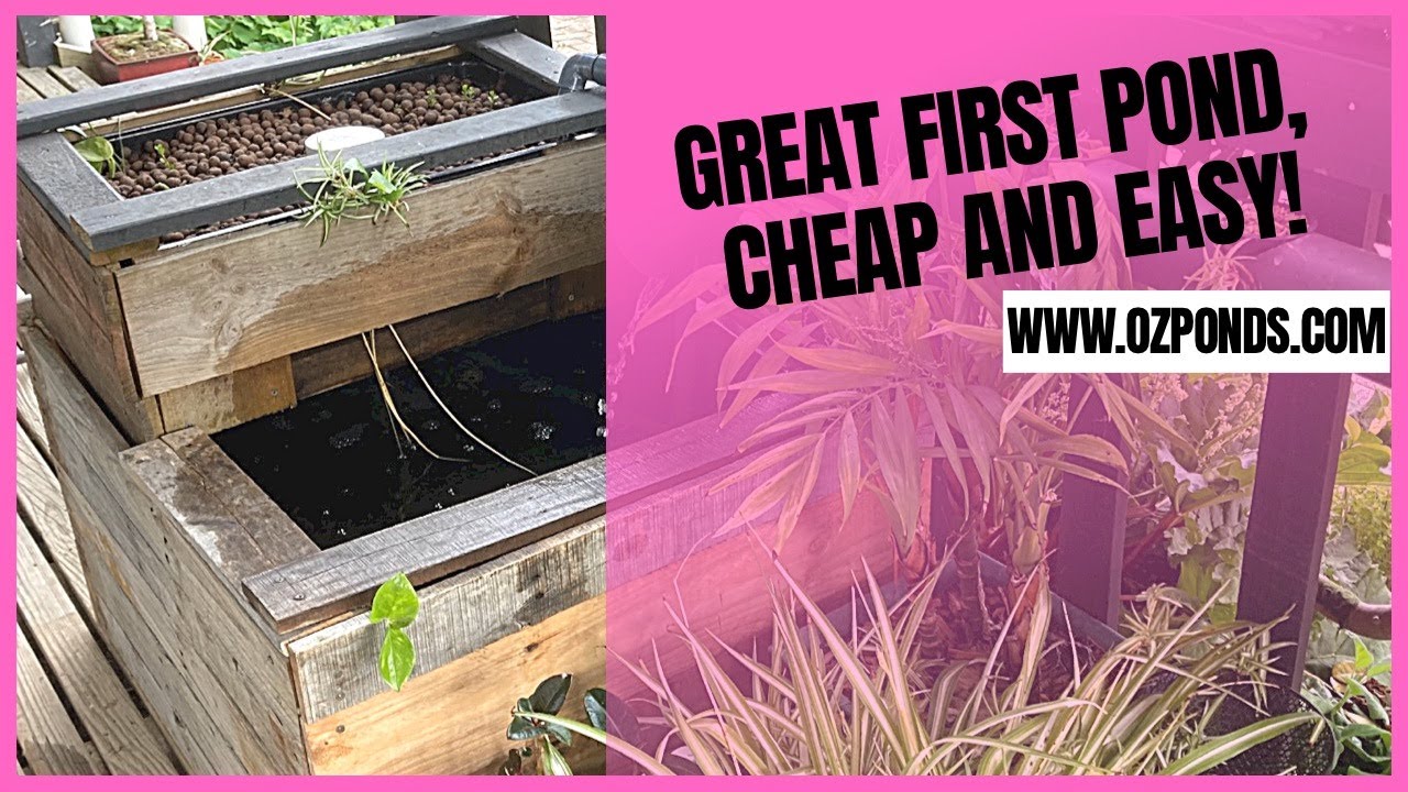 Building a container pond with bog filter - YouTube