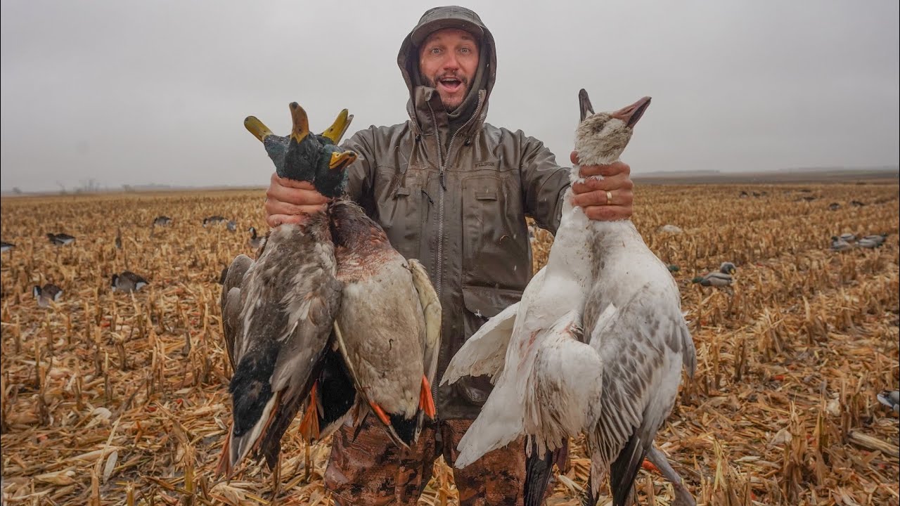 5 Man Limit of Field Mallards.. Bad Weather Means Great Duck Hunting ...