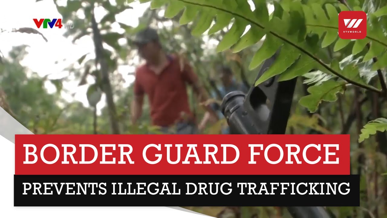 Border guard force plays key role in preventing illegal drug ...