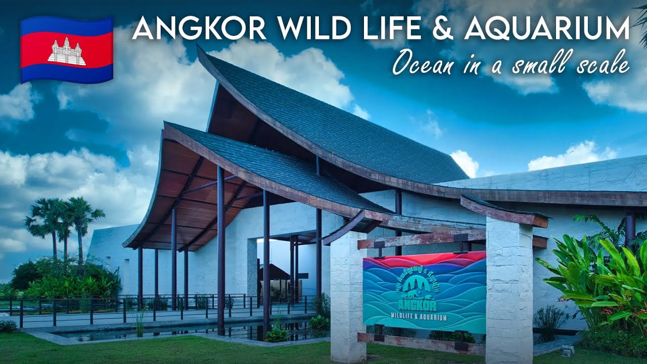 Angkor Wild Life And Aquarium - YouTube