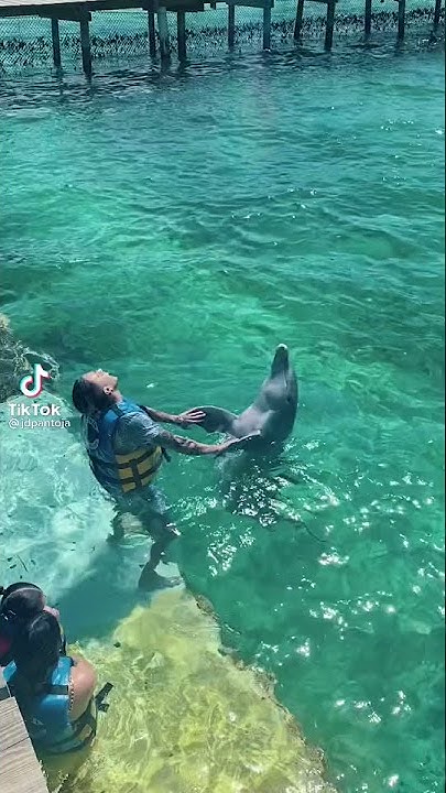 JD Pantoja bailando con delfines santa paloma - YouTube