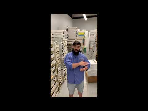 UF Bee Lab Tour - YouTube