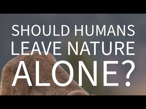 Should humans leave nature alone? - YouTube