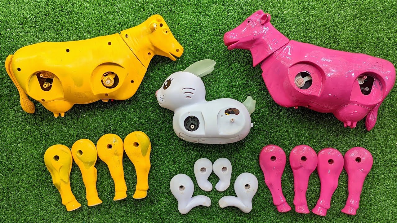 Merakit dan menyusun mainan sapi warna warni Sapi Gajah Kerbau Sapi moo ...