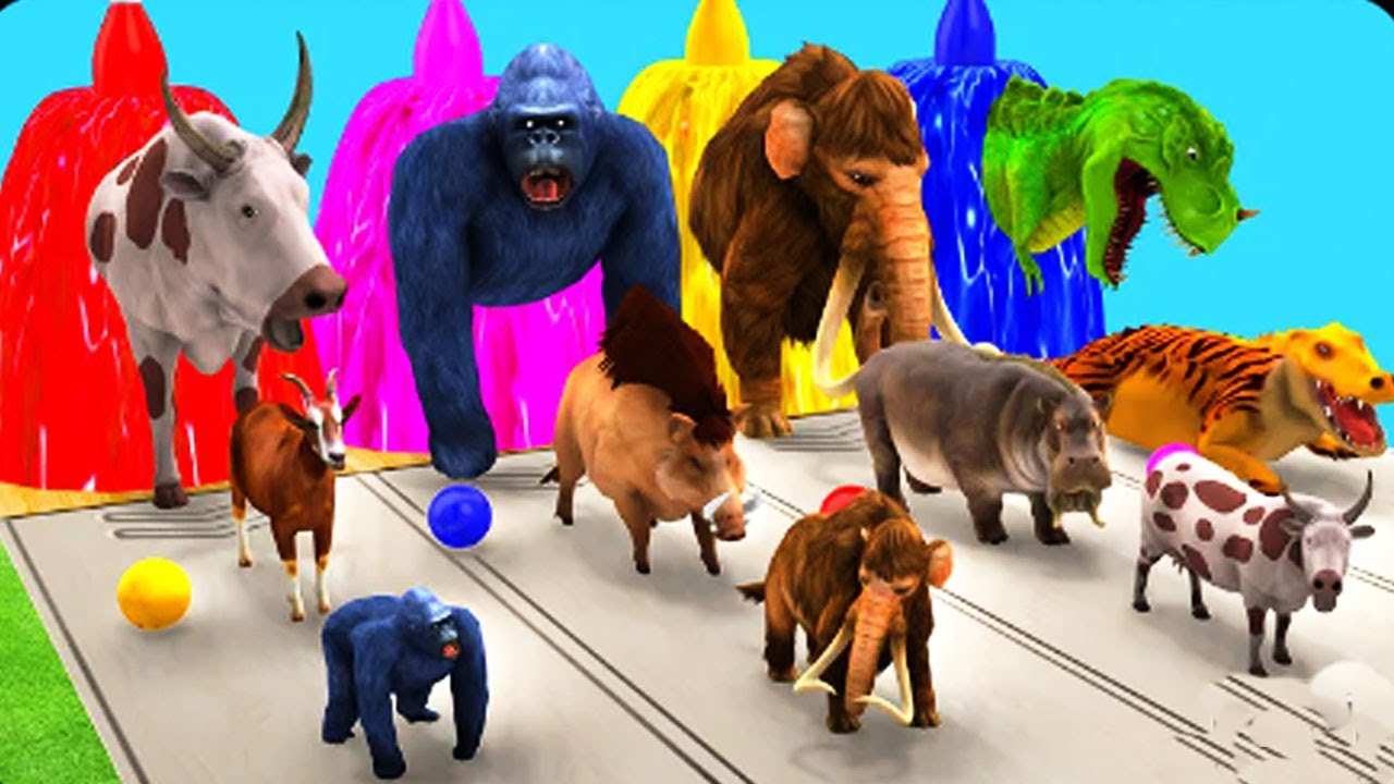 Hide and Seek Game With Cow Mammoth Elephant Tiger Lion Gorilla ...