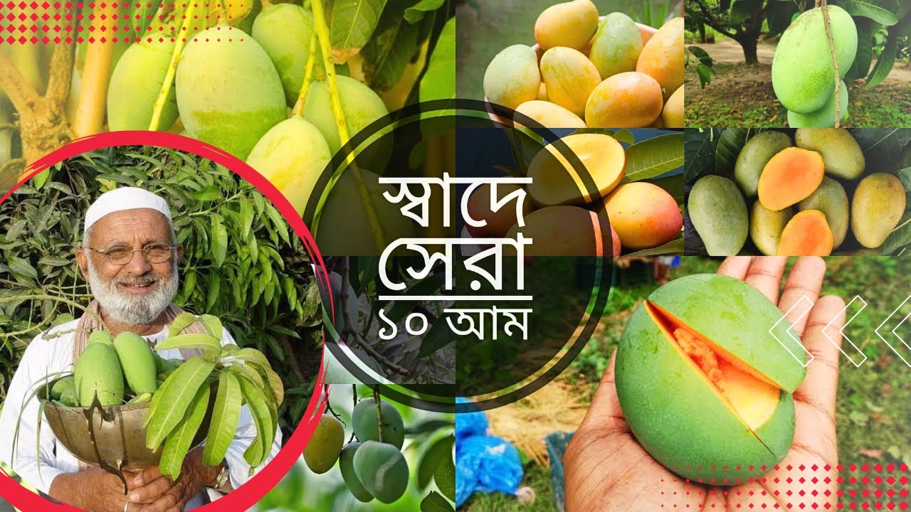 Top 10 MANGOES of Bangladesh 2025 | দেশ সেরা ১০ আম - YouTube
