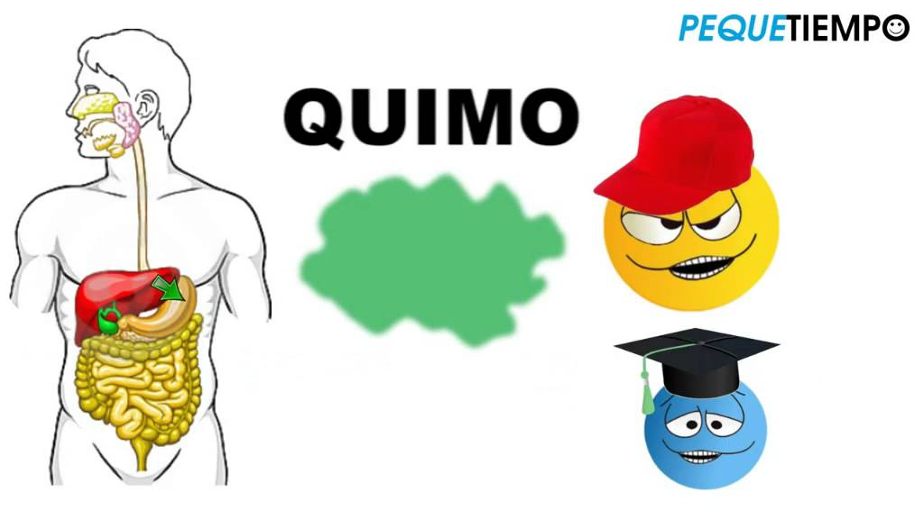 rap digestion - YouTube