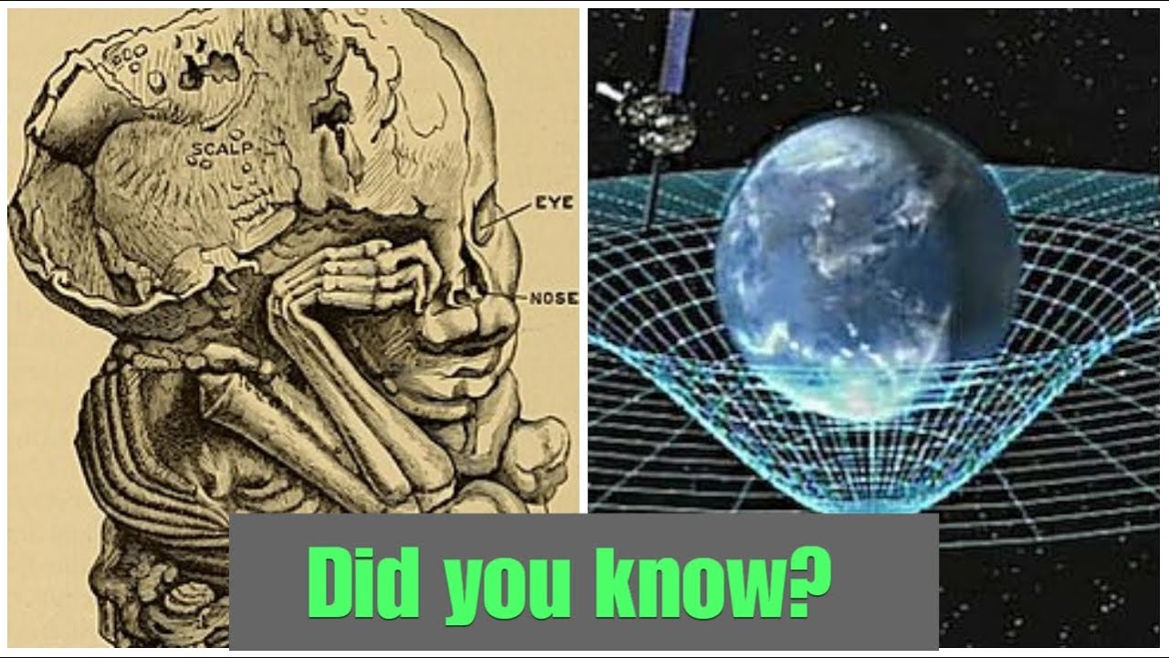 Did You Know? AMAZING and INTERESTING FACTS AROUND THE WORLD || FACTS ...