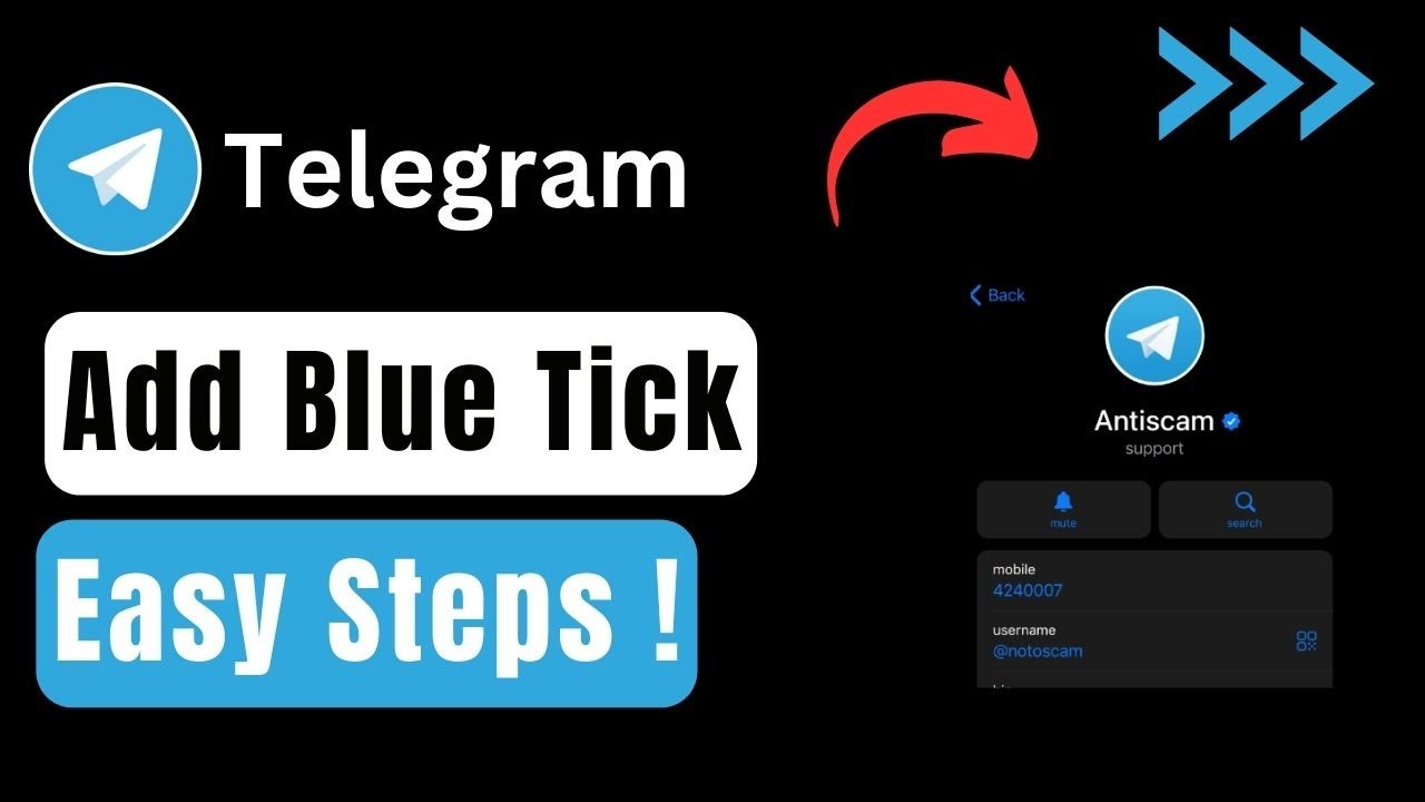 How To Add Blue Tick On Telegram Premium ! - YouTube