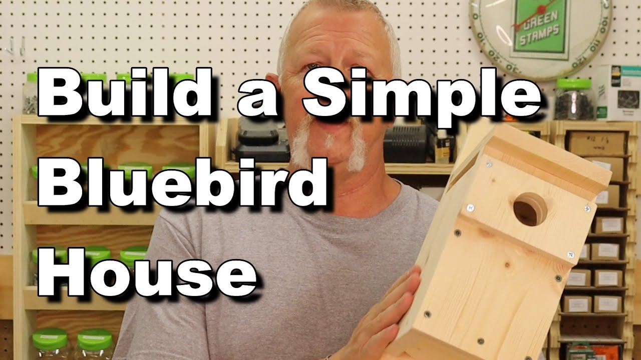 Build a Simple Bluebird House - YouTube