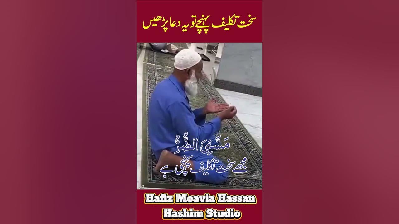 Soulful Tilawat Quran Recitation hafiz moavia hassan #tilawat #viralvideo #shortvideos - YouTube