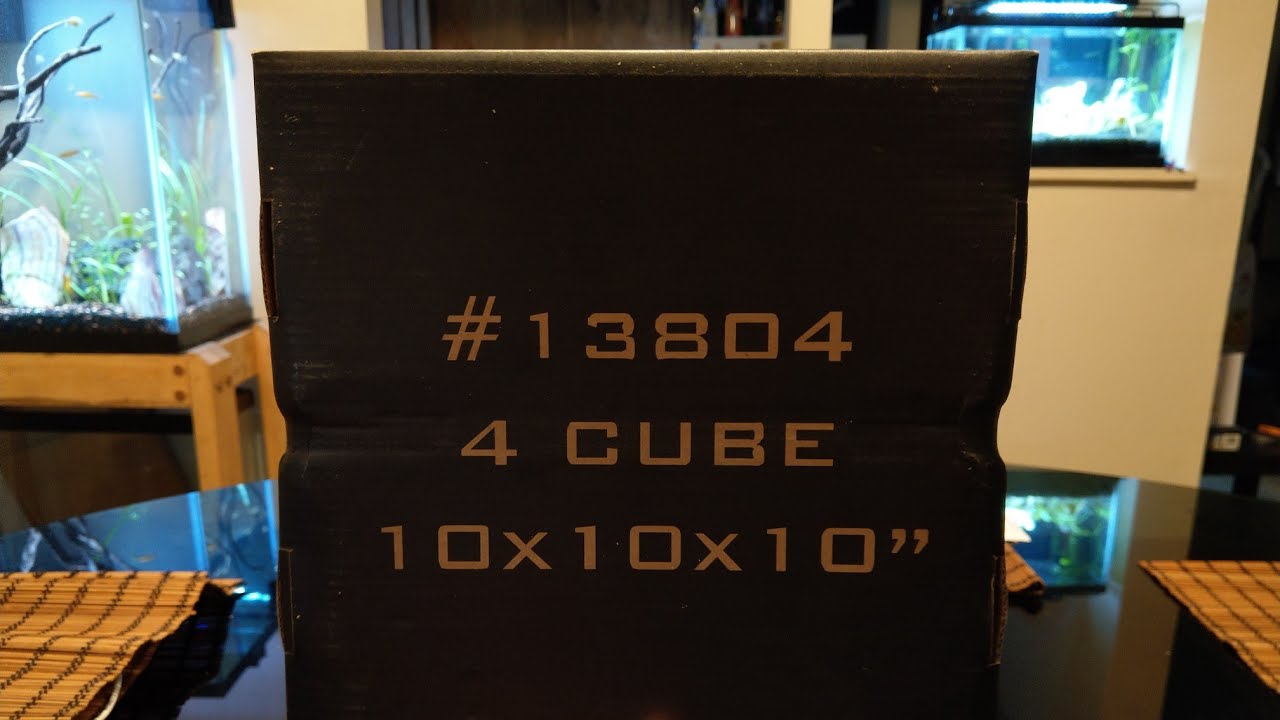 SeaPora Rimless 4 gallon cube!! - YouTube