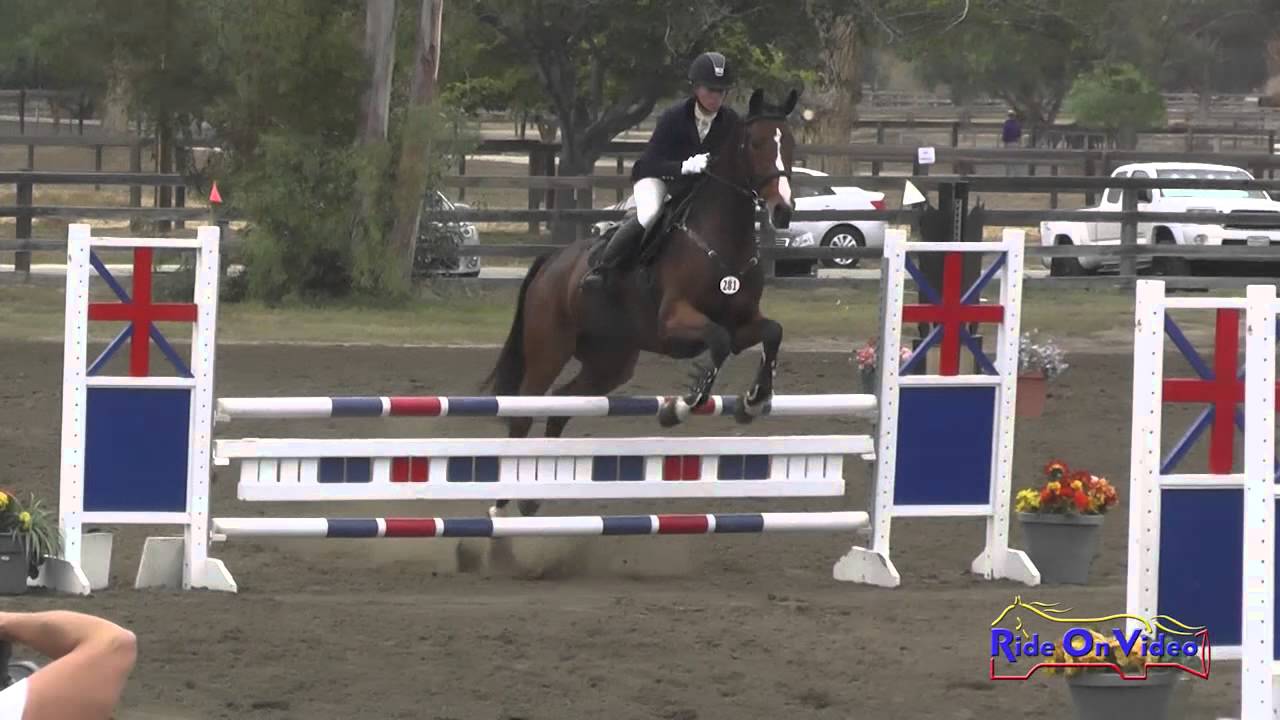 281S Robyn Fisher on Betawave Open Training Show Jumping Galway Downs ...