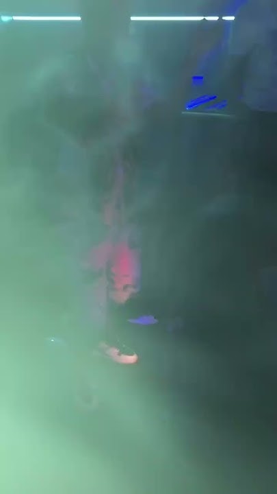 Bailando Denbow Abaliao 💚🧨discotecanumberone Viralvideo Youtube