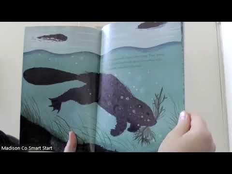 Miss Beth reads "Over and Under the Pond" by Kate Messner - YouTube