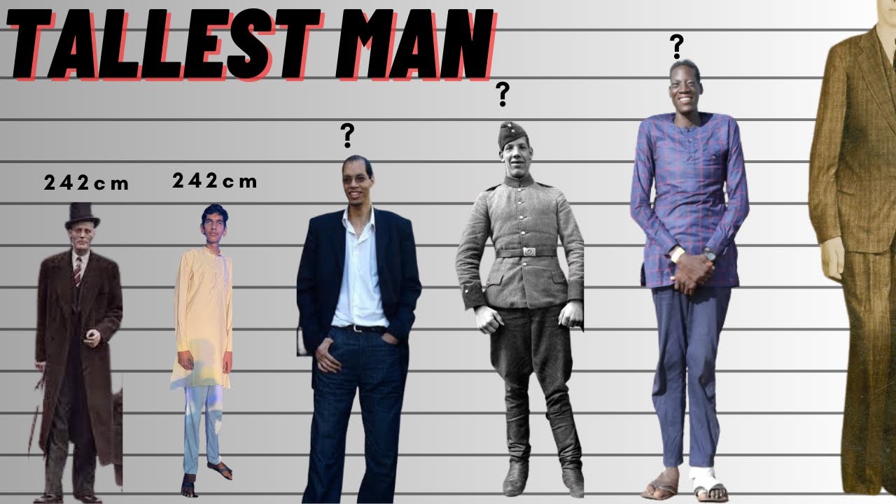 Comparison : Tallest man in the world | height comparison | data ...