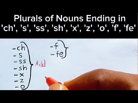 Making Plurals of Nouns Ending in ch, s, ss, sh, x, z, o, f, fe ...
