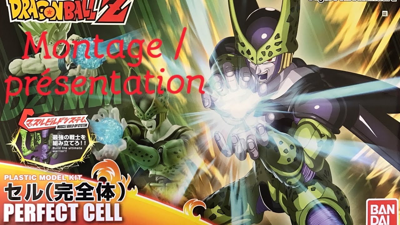 Présentation et montage/ figure rise standard/ Perfect Cell - YouTube