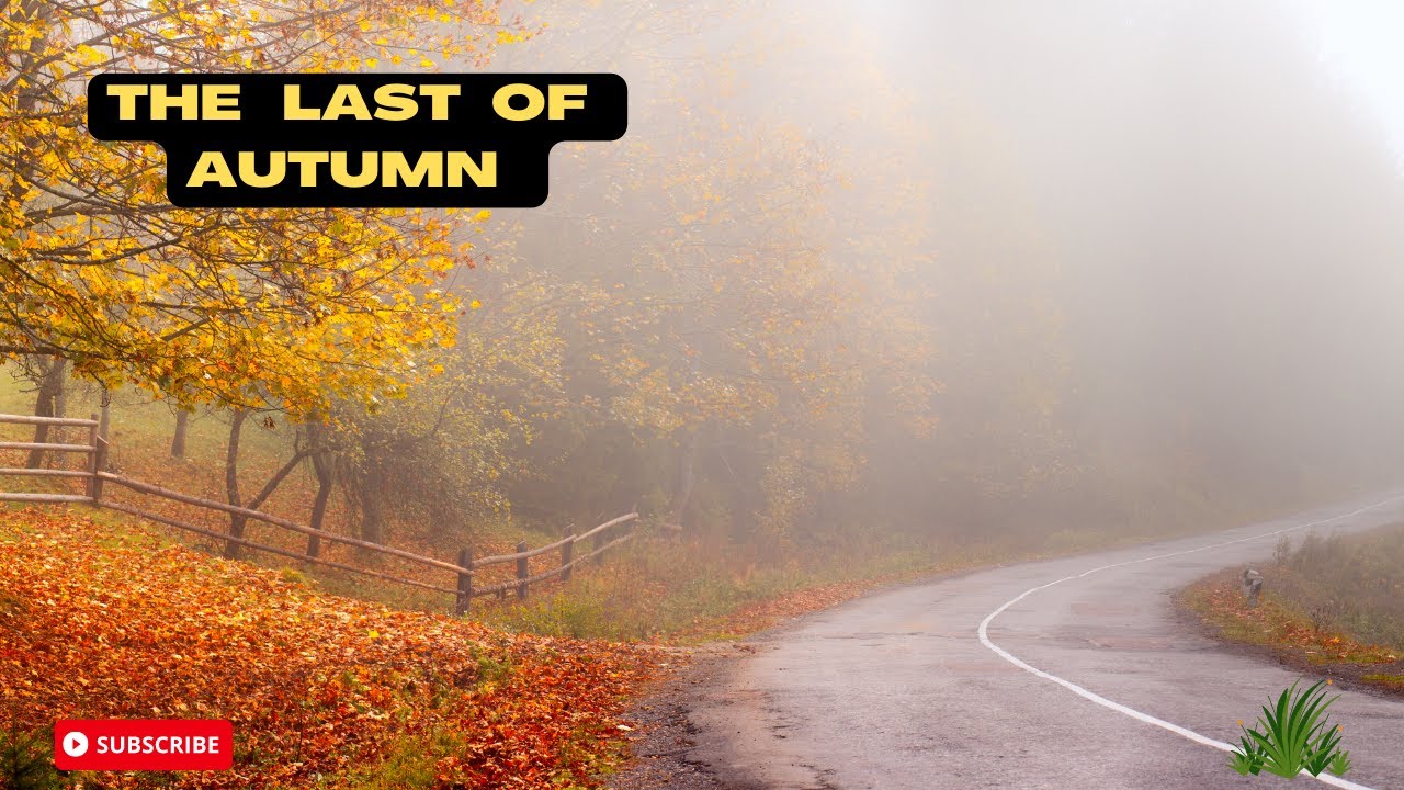 The Last Of Autumn -HAPPY AUTUMN! ENJOY THE BLISS OF AUTUMN WALKS ...