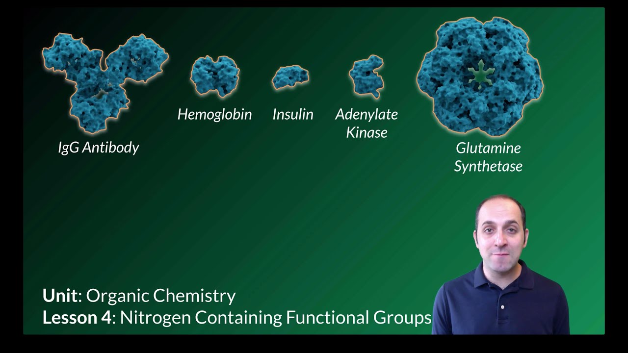 K-Chem 13.4: Nitrogen Containing Functional Groups - YouTube