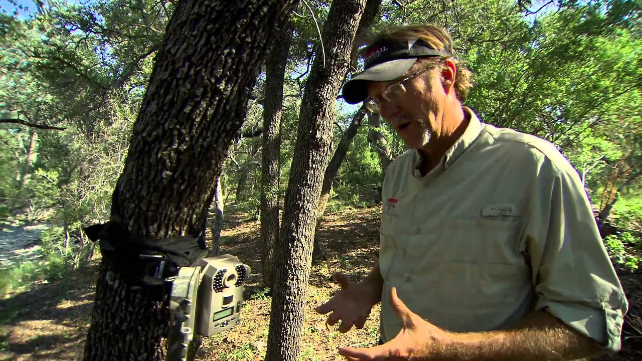 Scouting Camera Set Up Tip! - YouTube