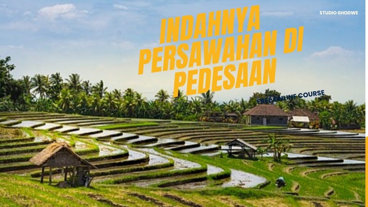 KEINDAHAN HANTARAN PERSAWAHAN - YouTube