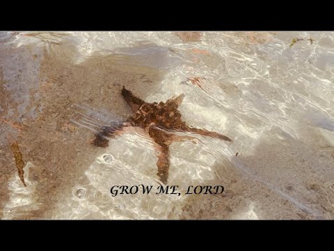 GROW ME LORD | Female Duet - YouTube