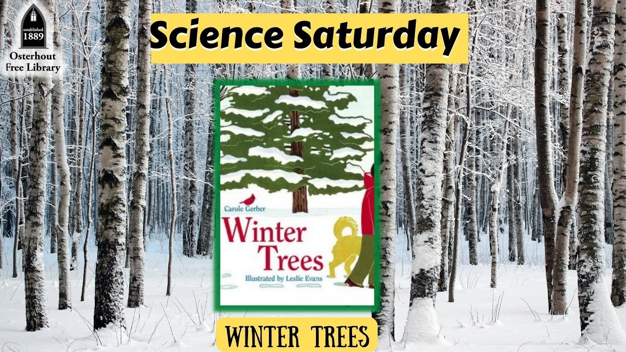 Science Saturday: Winter Trees - YouTube