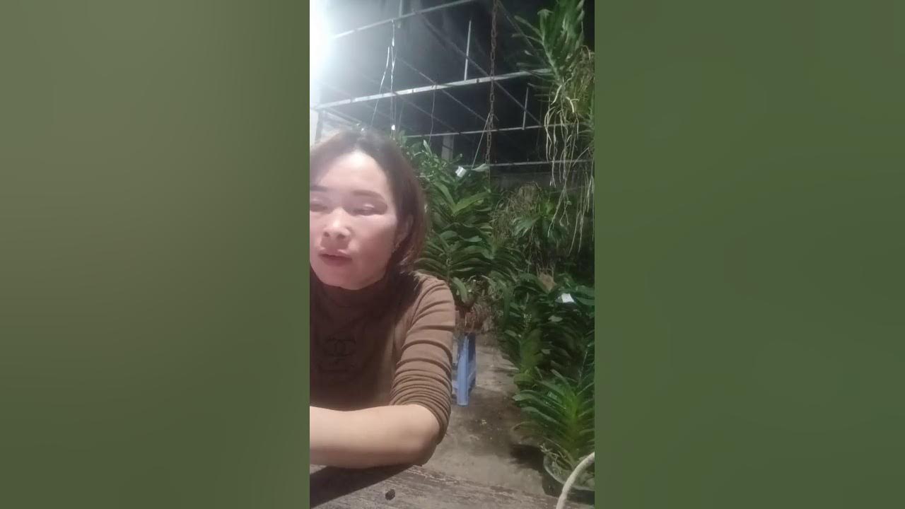 Xả buổi cuối ko xem quá phí ah 0977.842.981 Lan rừng Thủy Kai đang phát trực tiếp! - YouTube