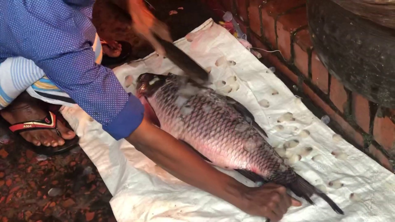Big Rui Fish | Skin Clearing | Fishing of Bangladesh - YouTube