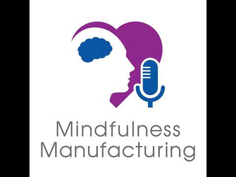 4 The Tools for Emotional Intelligence with Andrew De Haan, P1