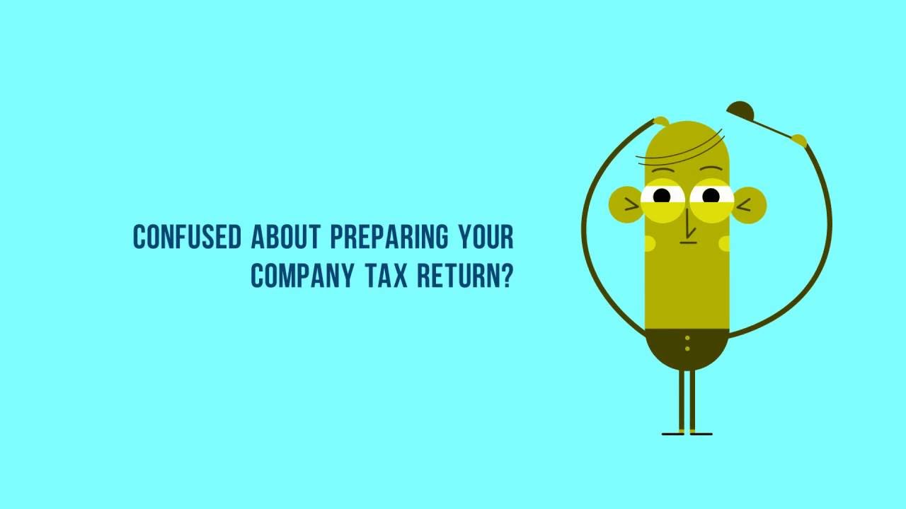 Taxopia Lite Company Tax Return Online Preparation - YouTube