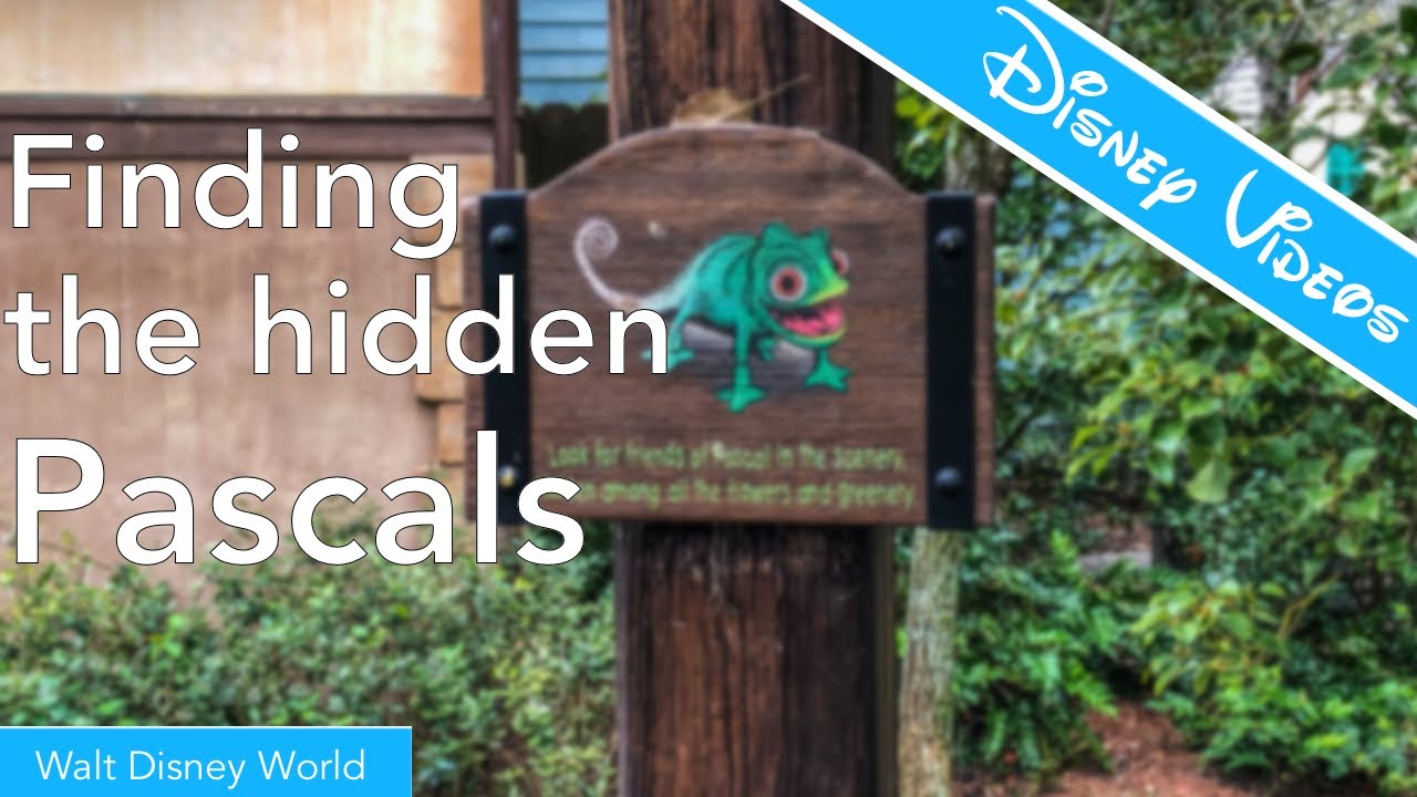 Where to find the Hidden Pascal's at the Magic Kingdom - YouTube