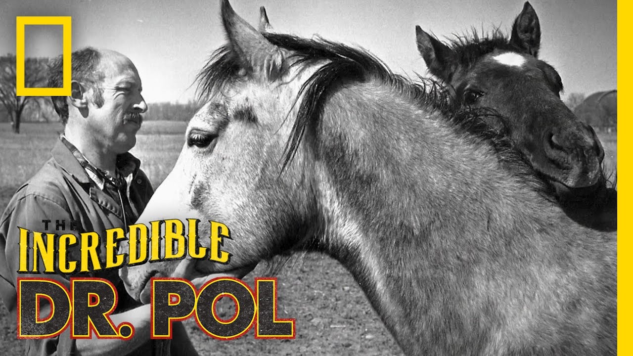 The Pol's Go 80's! | The Incredible Dr. Pol - YouTube