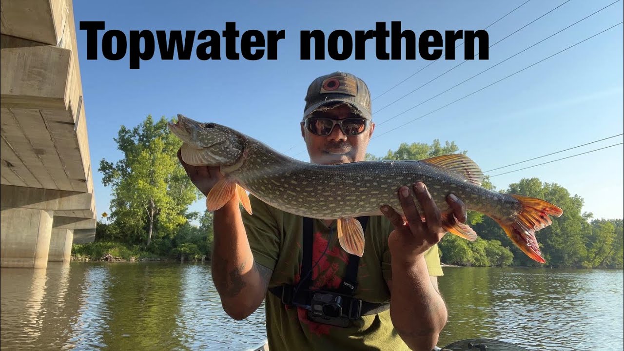 Ep 161- A decent top water northern pike - YouTube