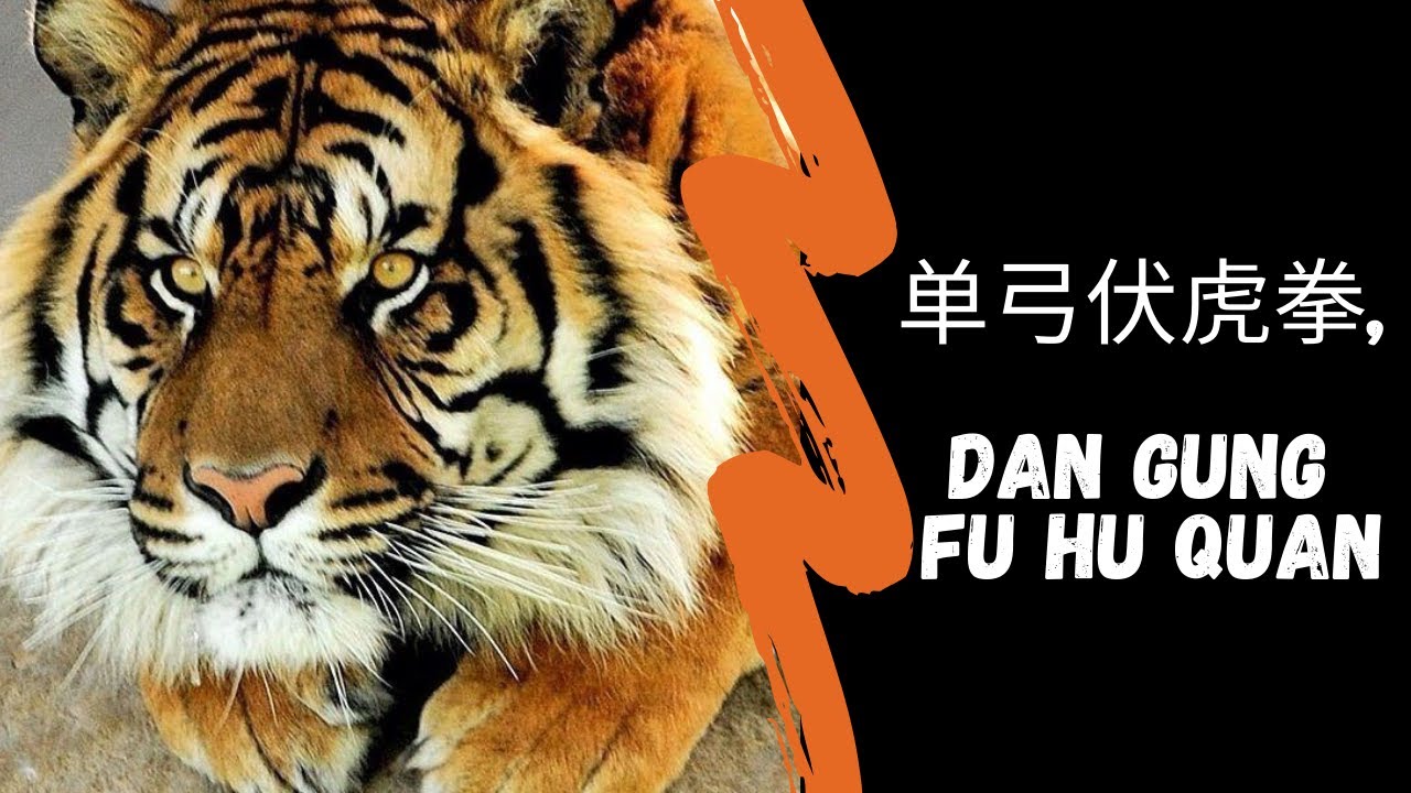 单弓伏虎拳, Dan Gung Fu Hu Quan - YouTube
