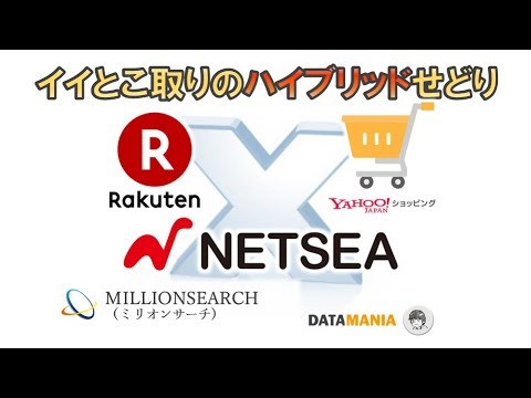 雷神#48 NETSEA × RAISIN（雷神） －NETSEA×ネットショップのハイブリッドせどりー - YouTube